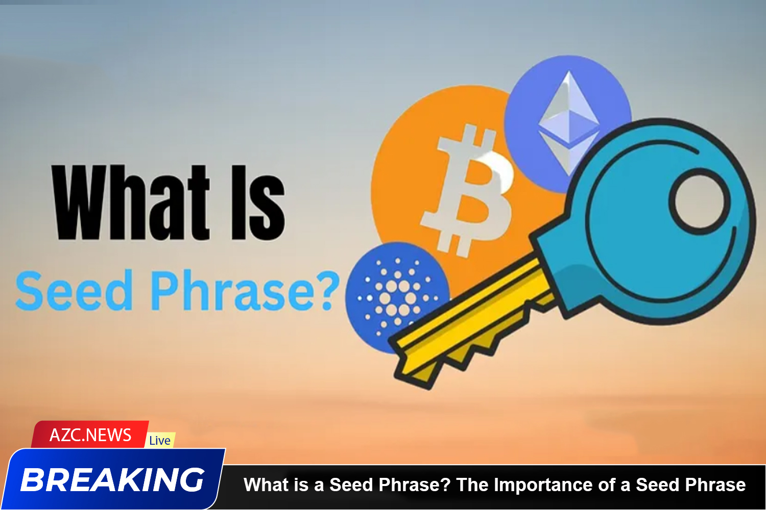 What is a Seed Phrase? The Importance of a Seed Phrase